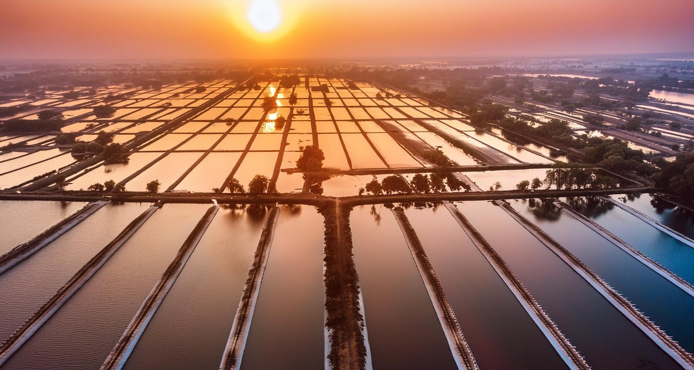 Sustainable Aquaculture – INDIAN SEAFOOD