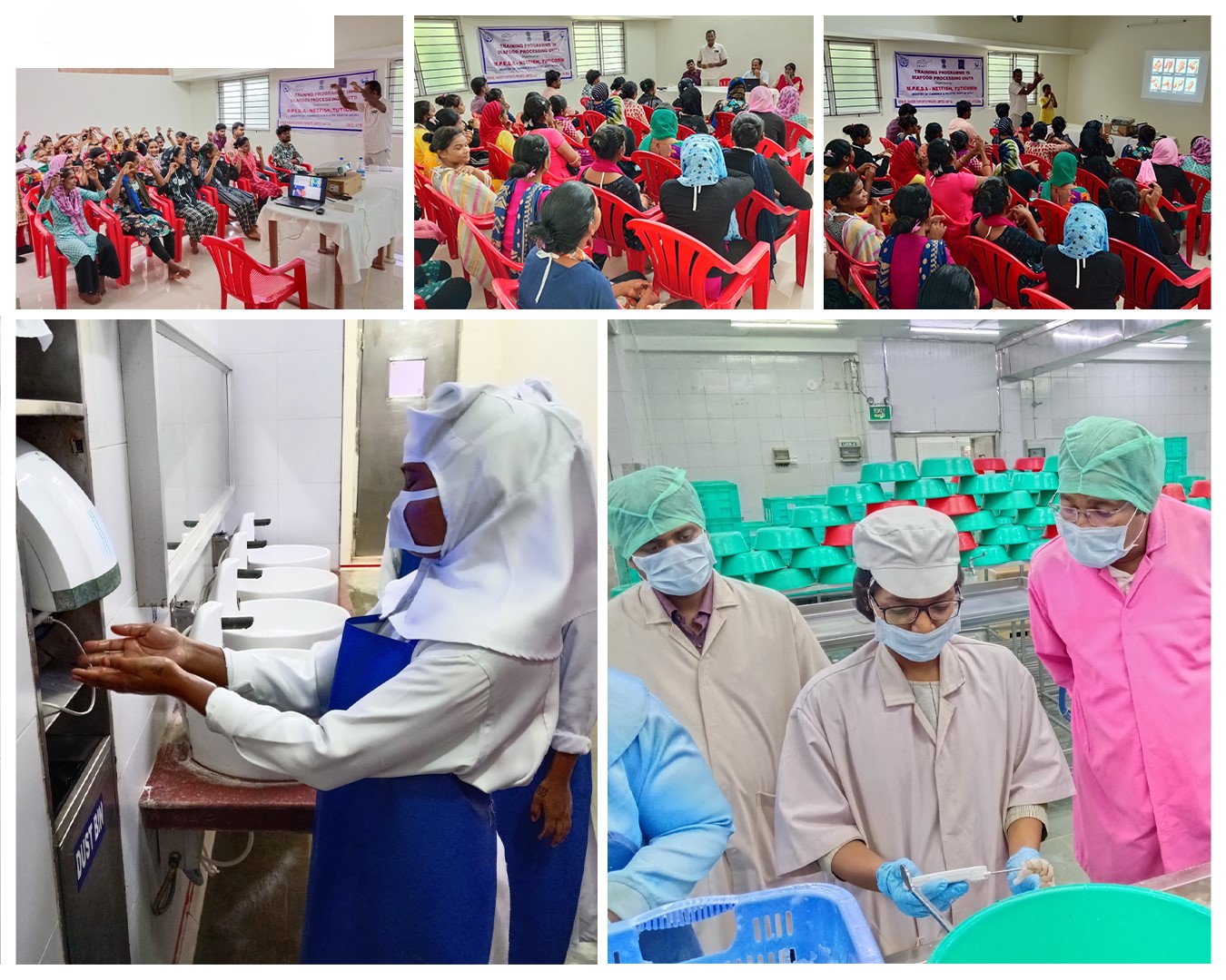 Advancing Sustainable Aquaculture: How RGCA, NETFISH, and NaCSA Are ...